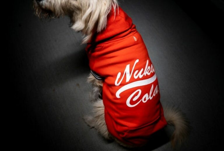 Best Fallout Merch: Buying Guide - Wasteland Gamers